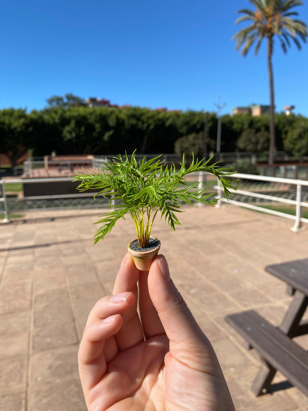 Dollhouse Palm Tree, Scale 1/12 - TO ORDER - Etsy