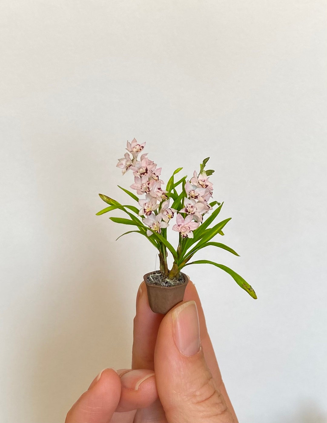 Miniature Cymbidium Orchid, Scale 1/12 - TO ORDER - Etsy