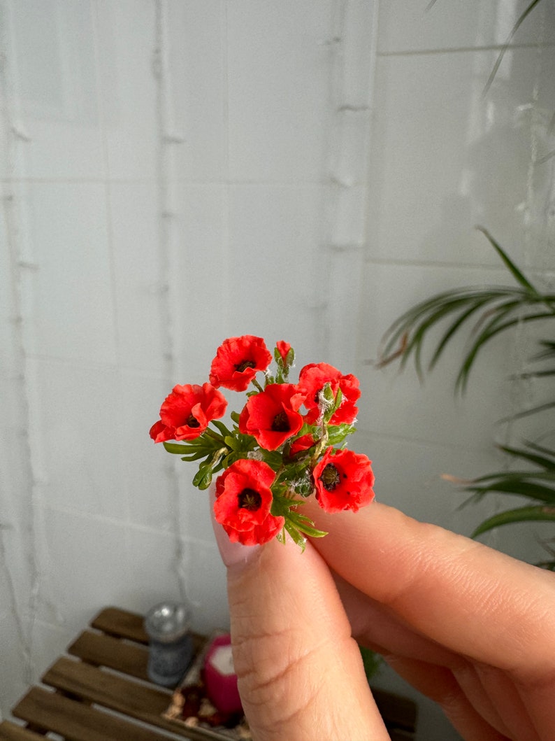 Dollhouse Poppy, Scale 1/12 - MADE TO ORDER - Etsy