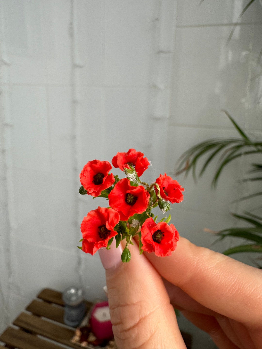 Dollhouse Poppy, Scale 1/12 - MADE TO ORDER - Etsy