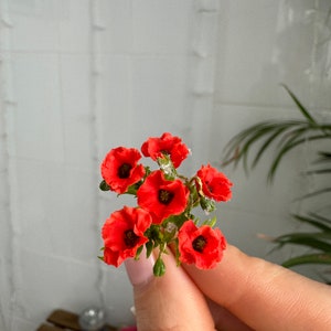 Dollhouse Poppy, Scale 1/12 - MADE TO ORDER - Etsy