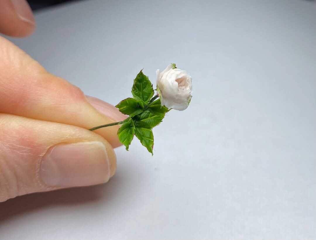 Dollhouse English Rose, Scale 1/12, TO ORDER - Etsy