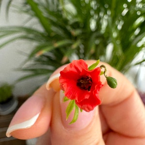 Dollhouse Poppy, Scale 1/12 - MADE TO ORDER - Etsy