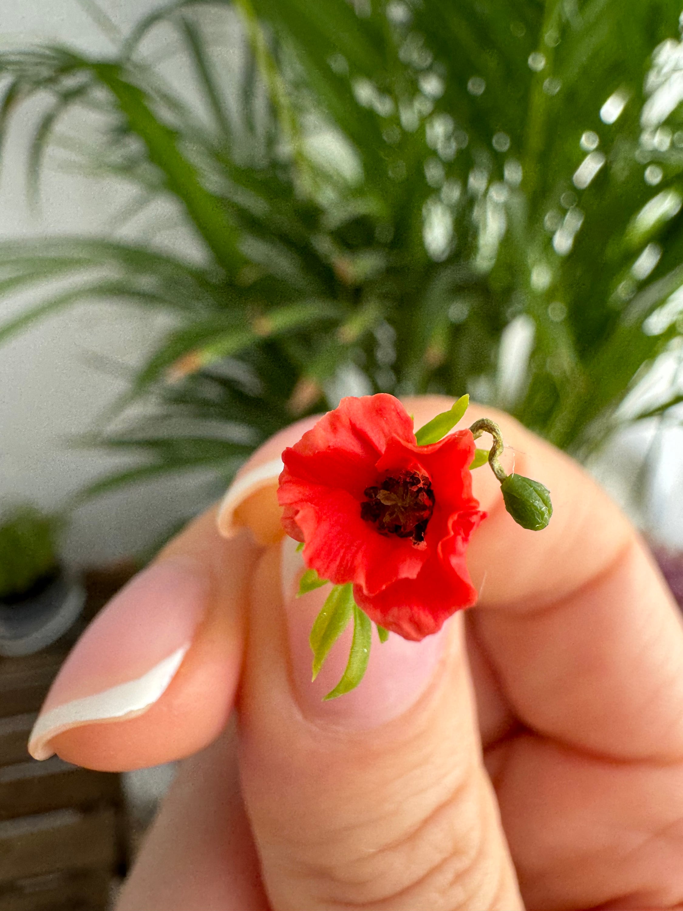Dollhouse Poppy, Scale 1/12 - MADE TO ORDER - Etsy