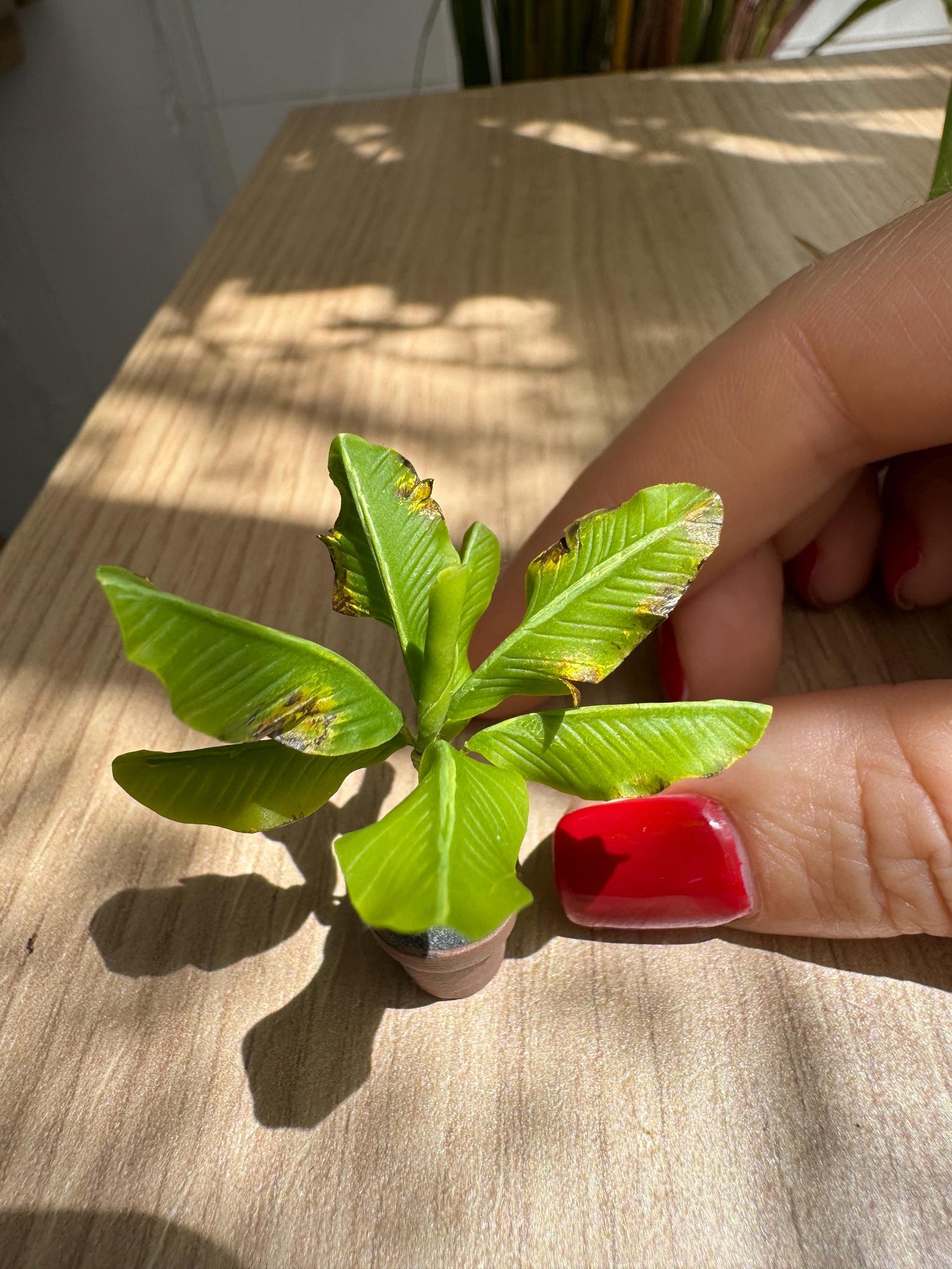 Banana Tree in Pot, Scale 1/24 - TO ORDER - Etsy