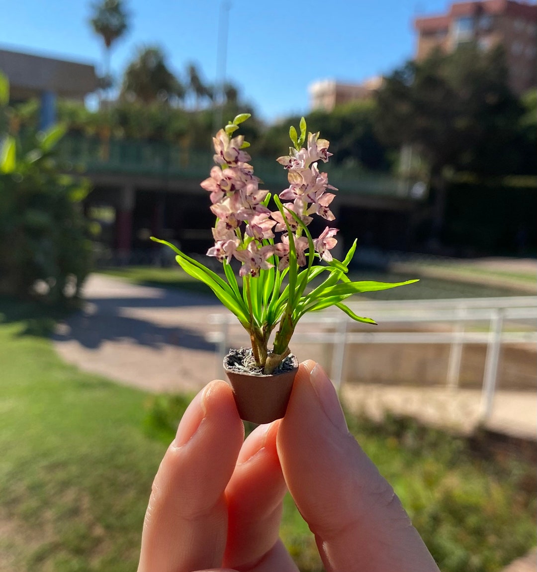 Miniature Cymbidium Orchid, Scale 1/12 - TO ORDER - Etsy