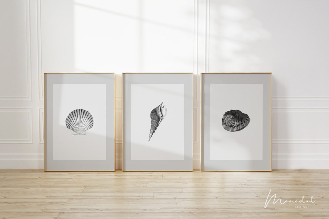 Black and White Sea Shell Art Print Set of 3 Seashell Poster Gray ...