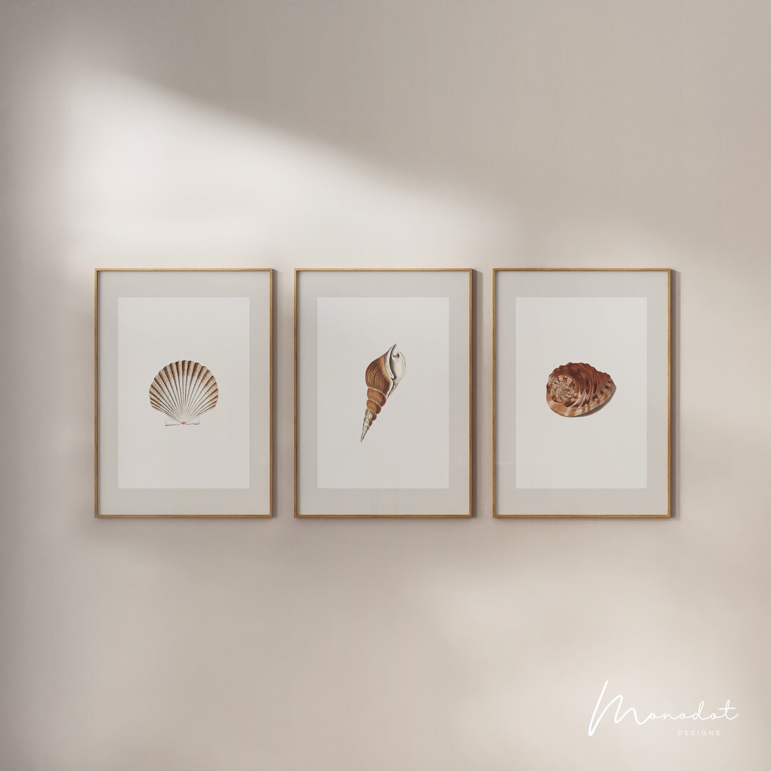 Sea Shell Poster Set of 3 Seashell Art Print Nautical Coastal Printable ...
