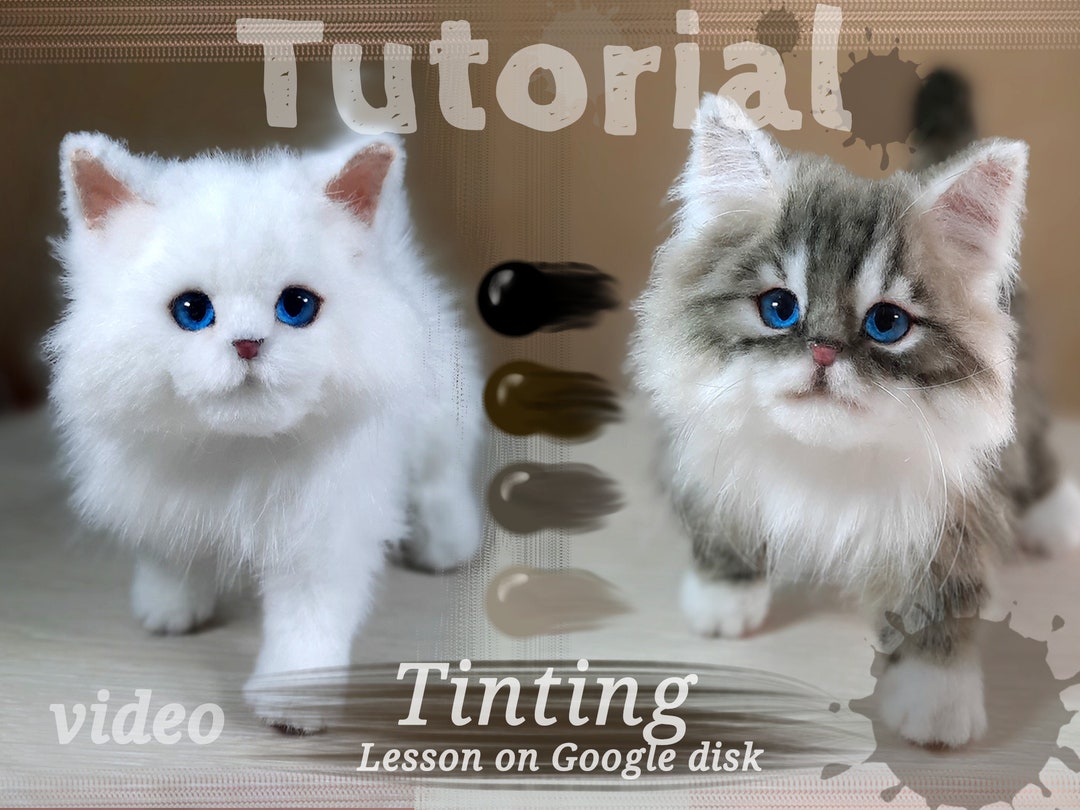Toy Tinting With Acrylic Paints Tutorial Video - Etsy