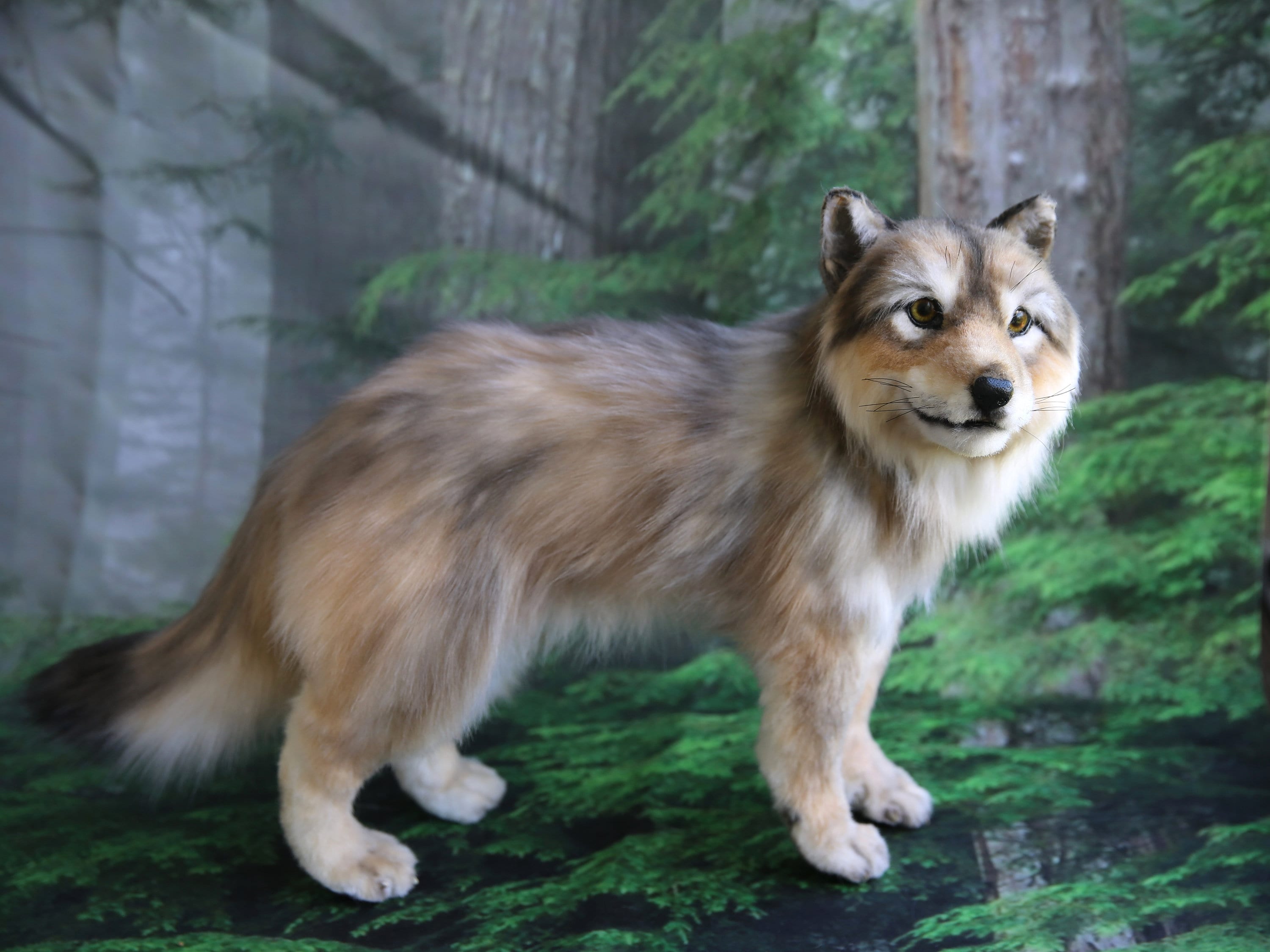 Wolf Pattern. Realistic Toy, Wolf Cub, Stuffed Animals - Etsy
