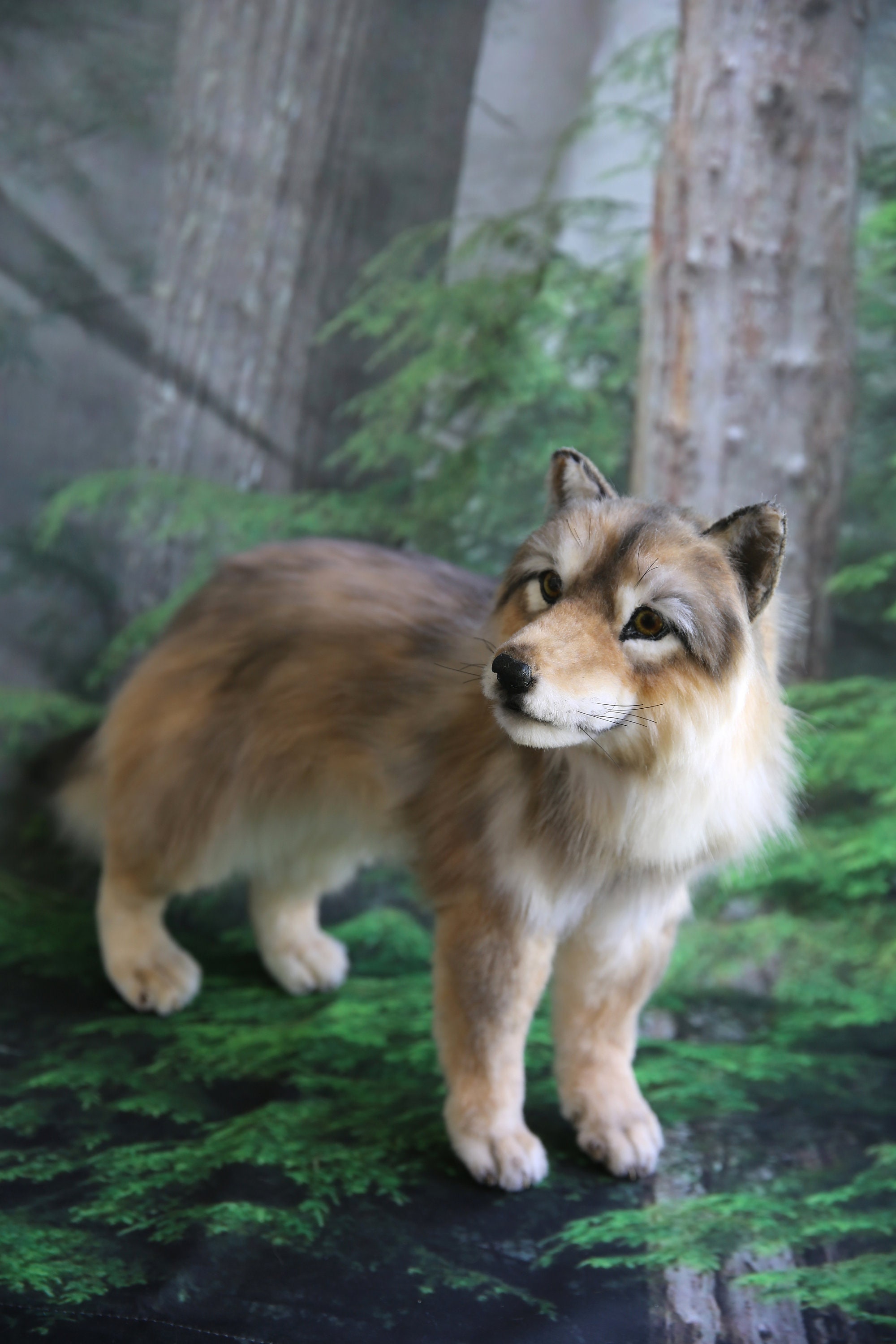 Wolf Pattern. Realistic Toy, Wolf Cub, Stuffed Animals - Etsy