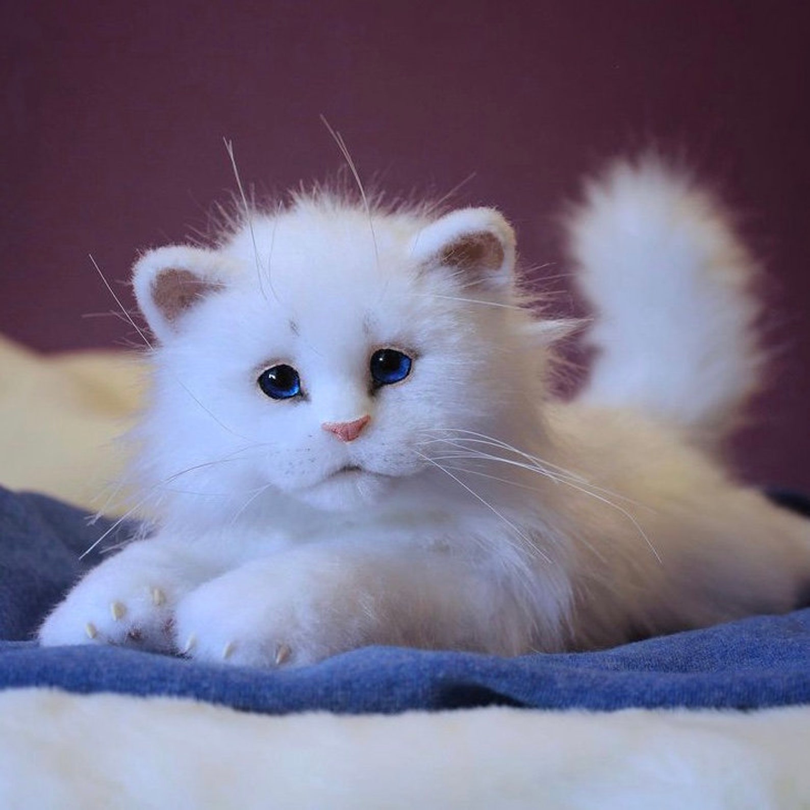 Kitten Soft Toy Pattern. Realistic Toy - Etsy