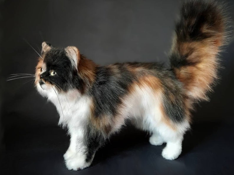 Pattern Tricolor Cat, Realistic Toys, Puff, Stuffed Animals - Etsy