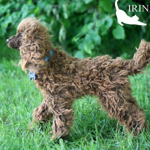 Pattern Dog. Realistic Sewing Toy, Realistic Poodle, Stuffed Animals ...