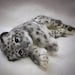 The Pattern Snow Bars. Snow Leopard - PDF Sewing Pattern. Realistic Toy ...