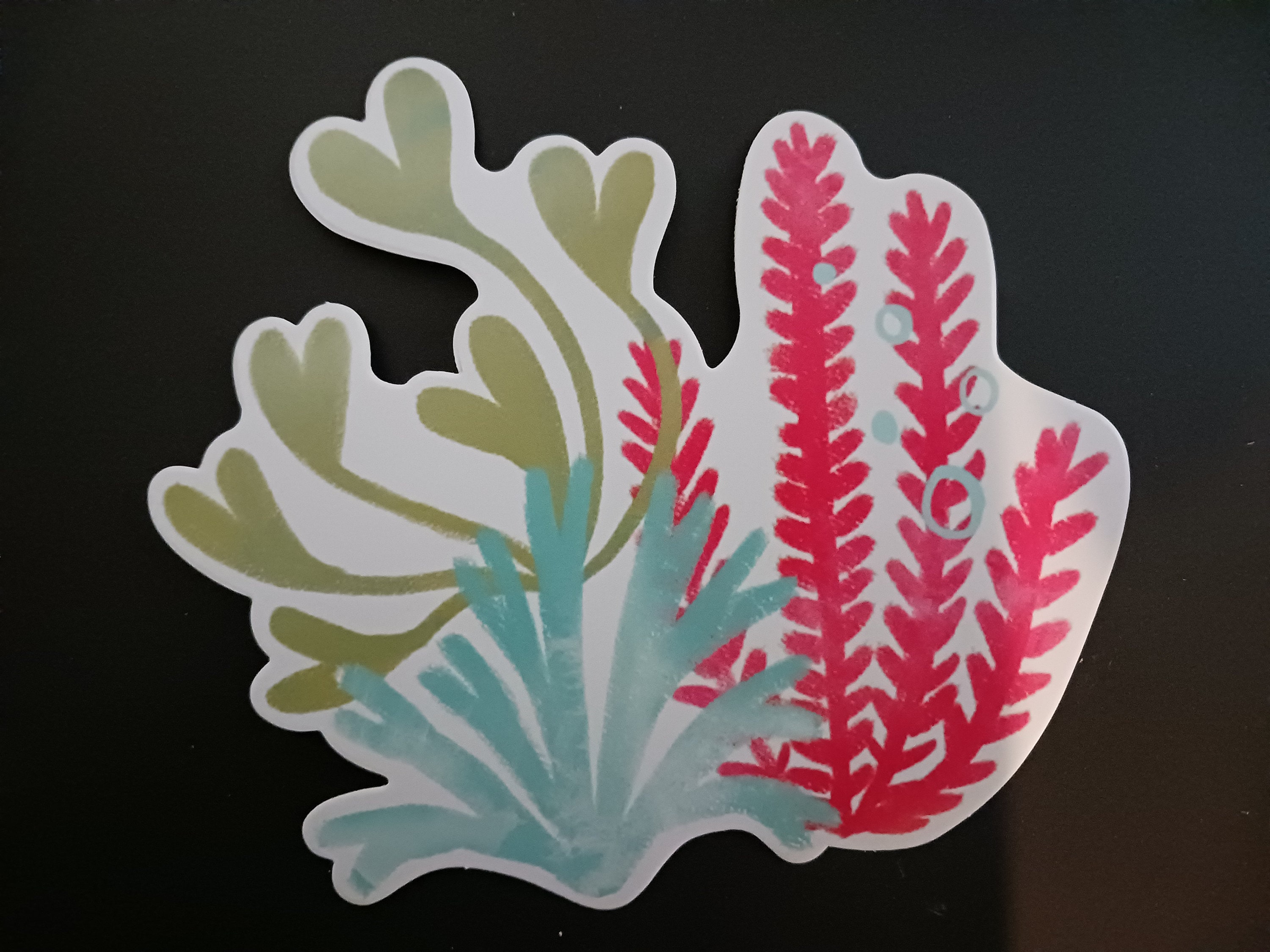 Cardboard Cutouts of Sea Creatures - Etsy