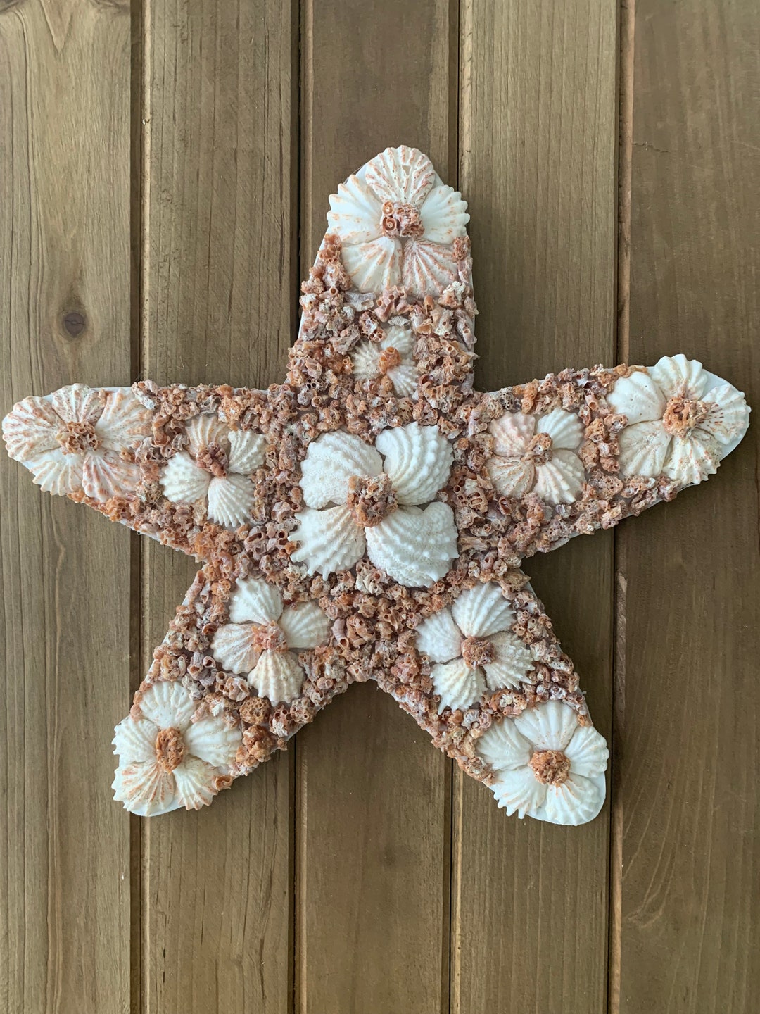 Coastal Decor Sea Shell Starfish - Etsy