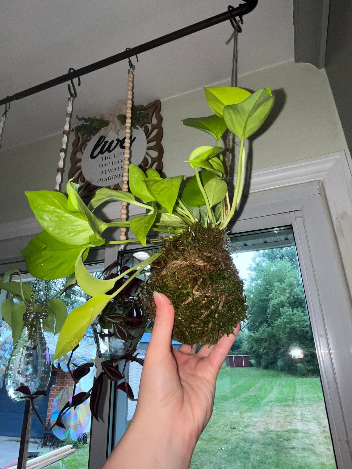 Kokedama Hanging Moss Ball - Etsy