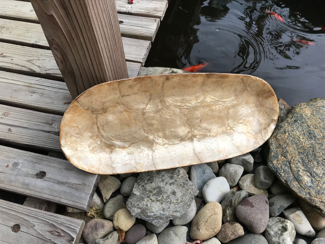 Capiz Shell Tray - Etsy