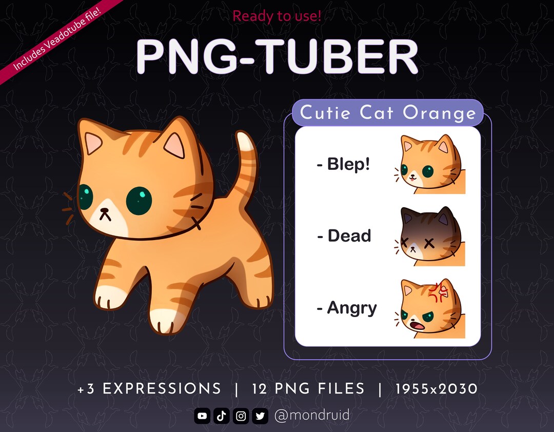 PNG-TUBER | Cutie Cat Orange | Veadotube Mini | Twitch | Youtube ...