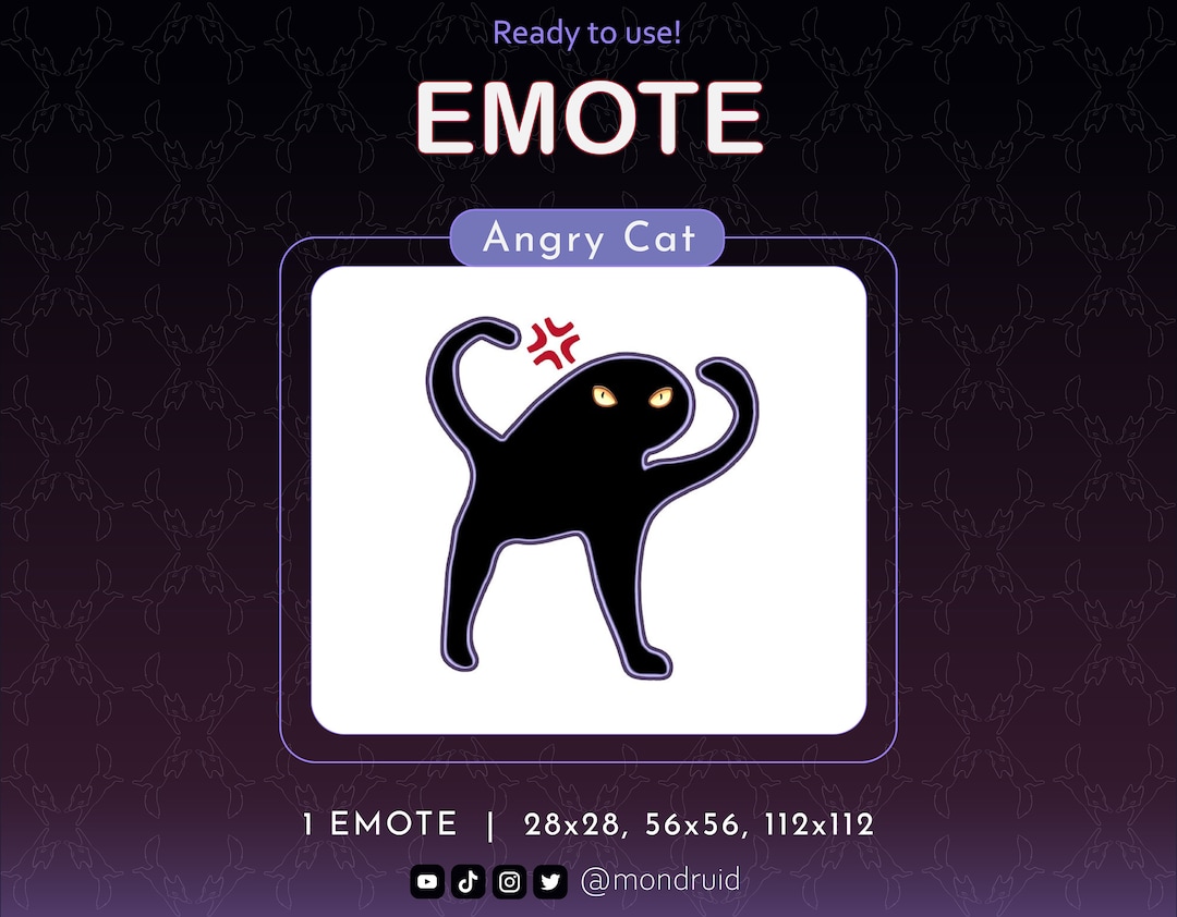 EMOTE | Angery Cat Meme | Twitch | Youtube | Discord | Streamer ...
