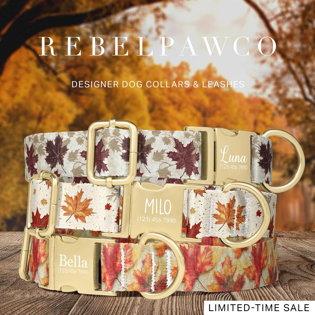 Fall Dog Collars Boys and Girls, Autumn Leaf Dog Collar Girls ...