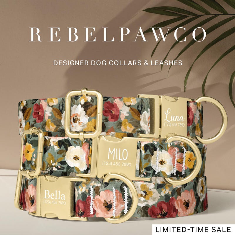 Dog Collars Whimsical - Etsy