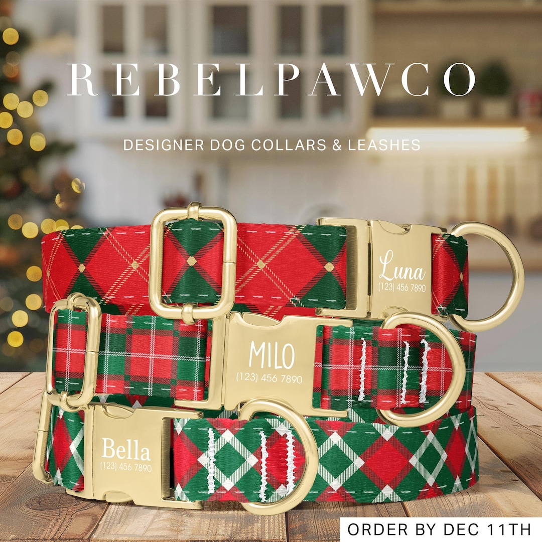 Personalized Christmas Dog Collars, Geometric Dog Collar With Leash ...