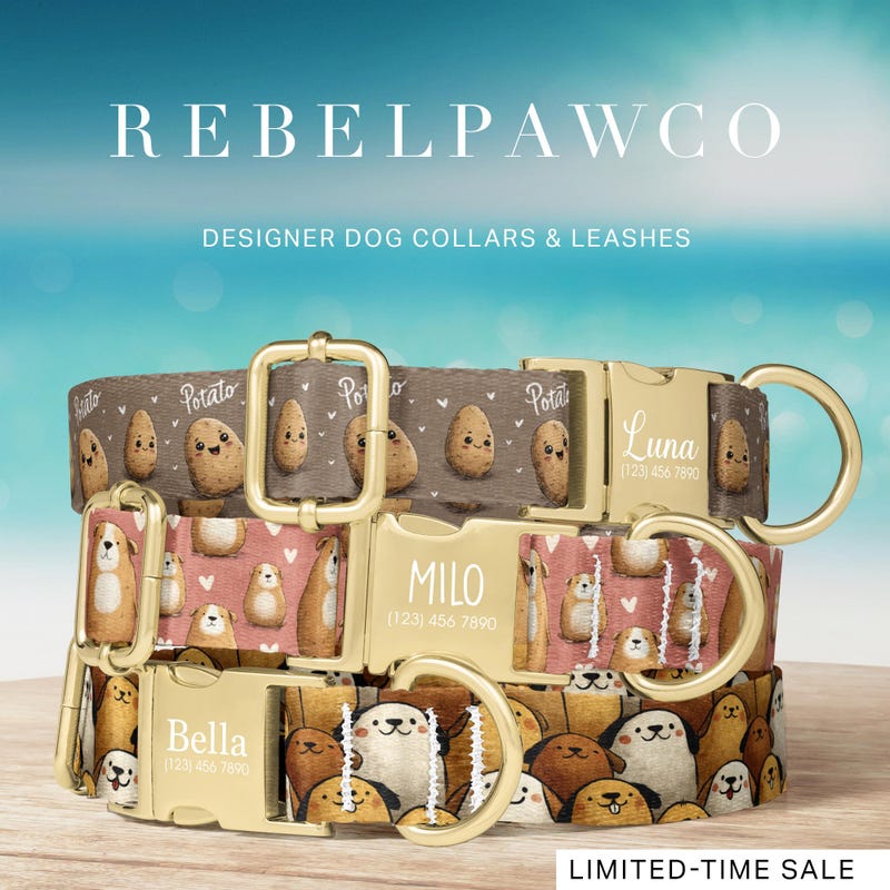 Pitbull Collars Leather - Etsy