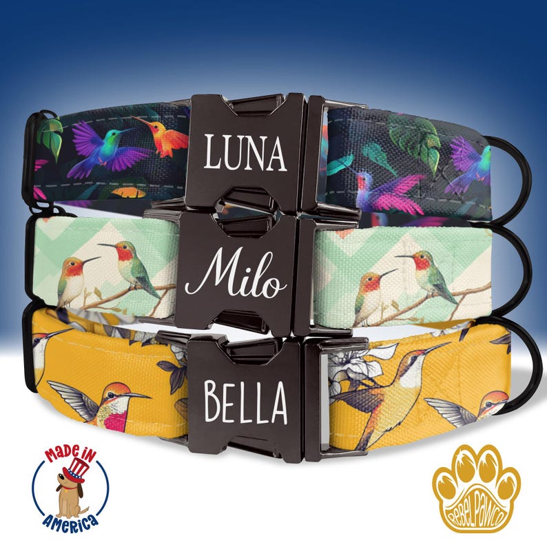 Hummingbird Dog Collar, Custom Engraved Metal Buckle Dog Collar ...