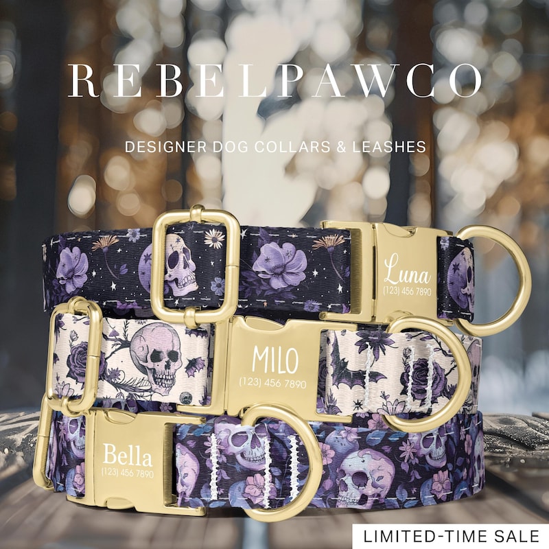 Dog Collar Girl Witchy - Etsy