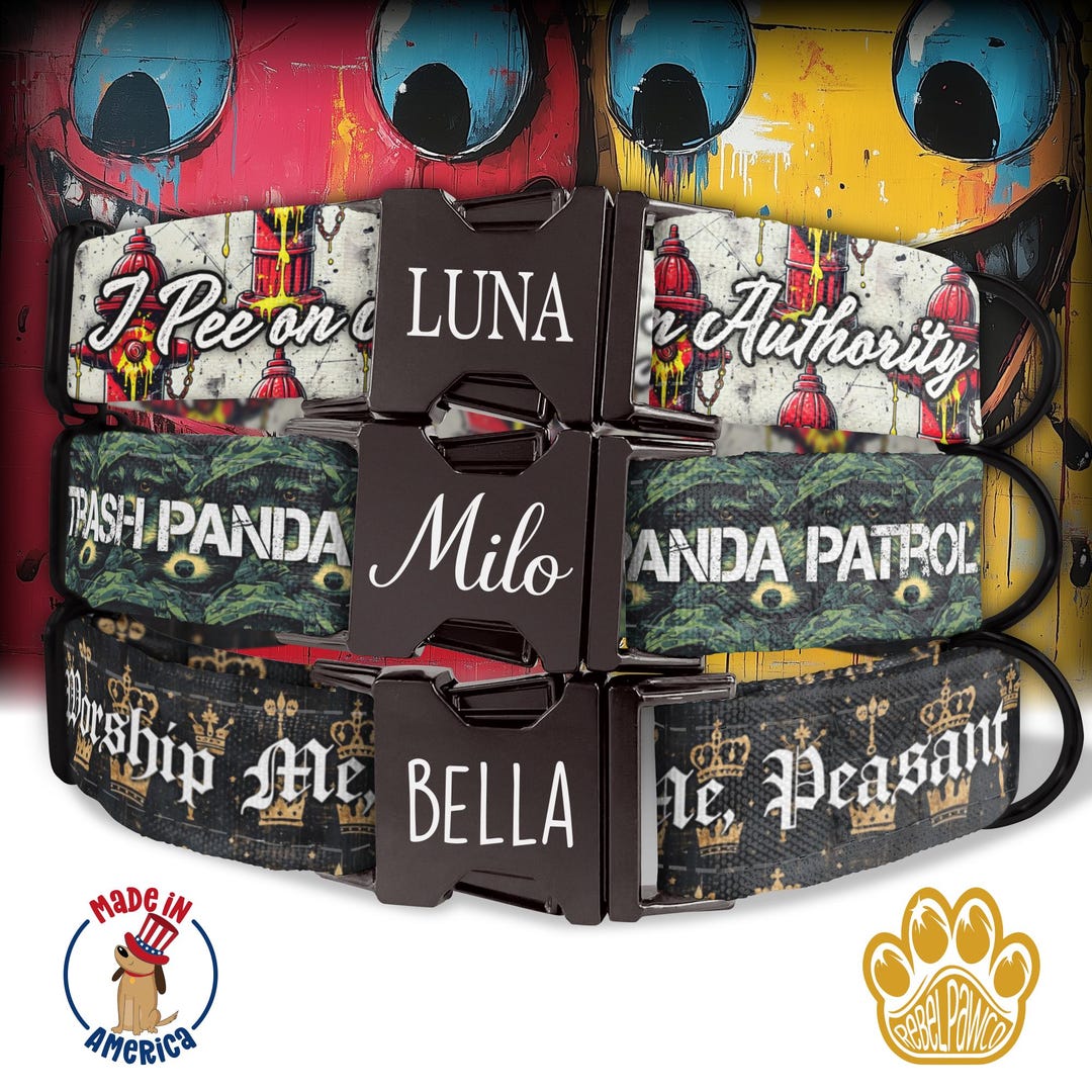 Funny Dog Collars, Personalized With Engraved Name and Number, Funny ...