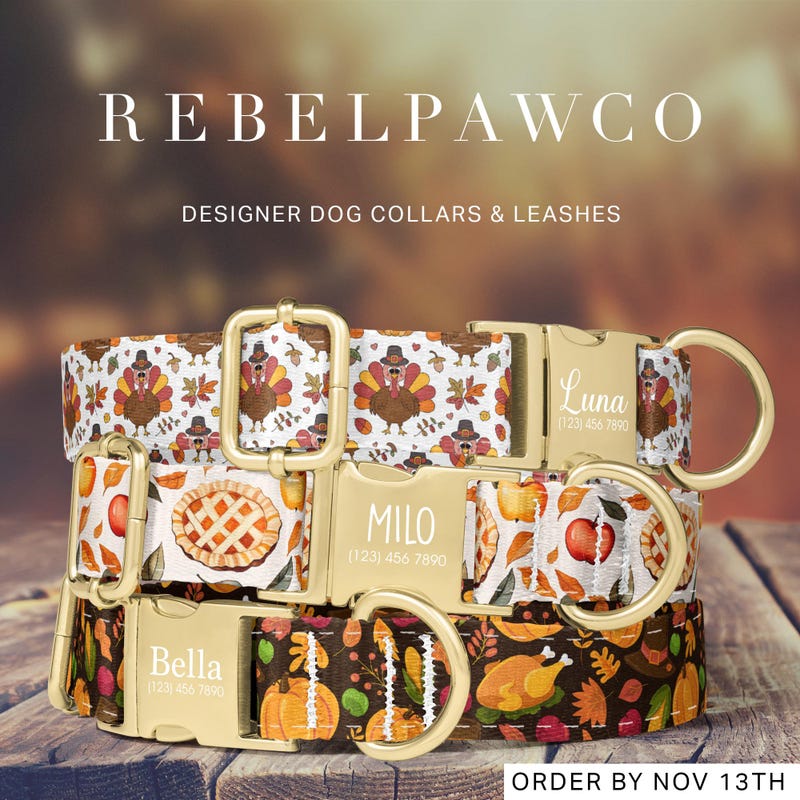 Buckle for Thanksgiving - Etsy