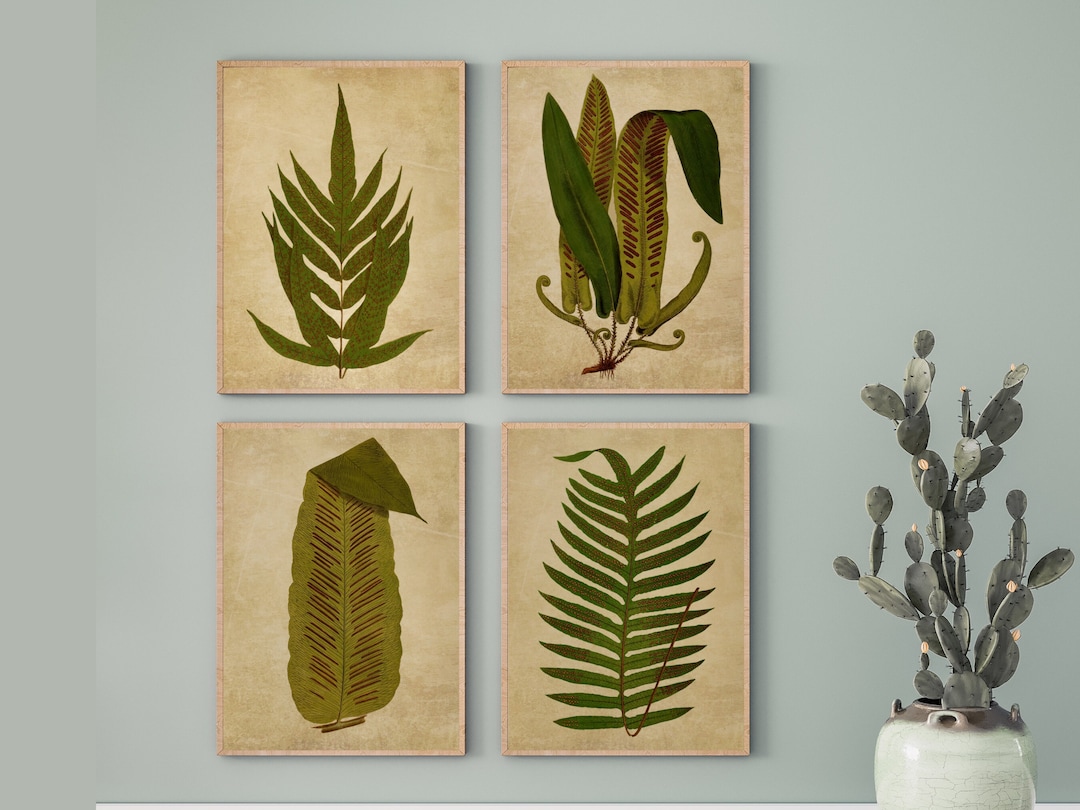 Fern Art Prints, Vintage Botanical Prints, 1800s Antique Illustrations ...