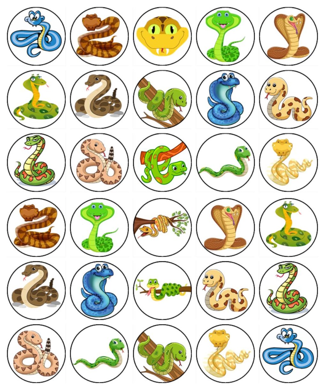 Snake Cupcake Toppers Edible Wafer Birthday Cake Animal Theme ...
