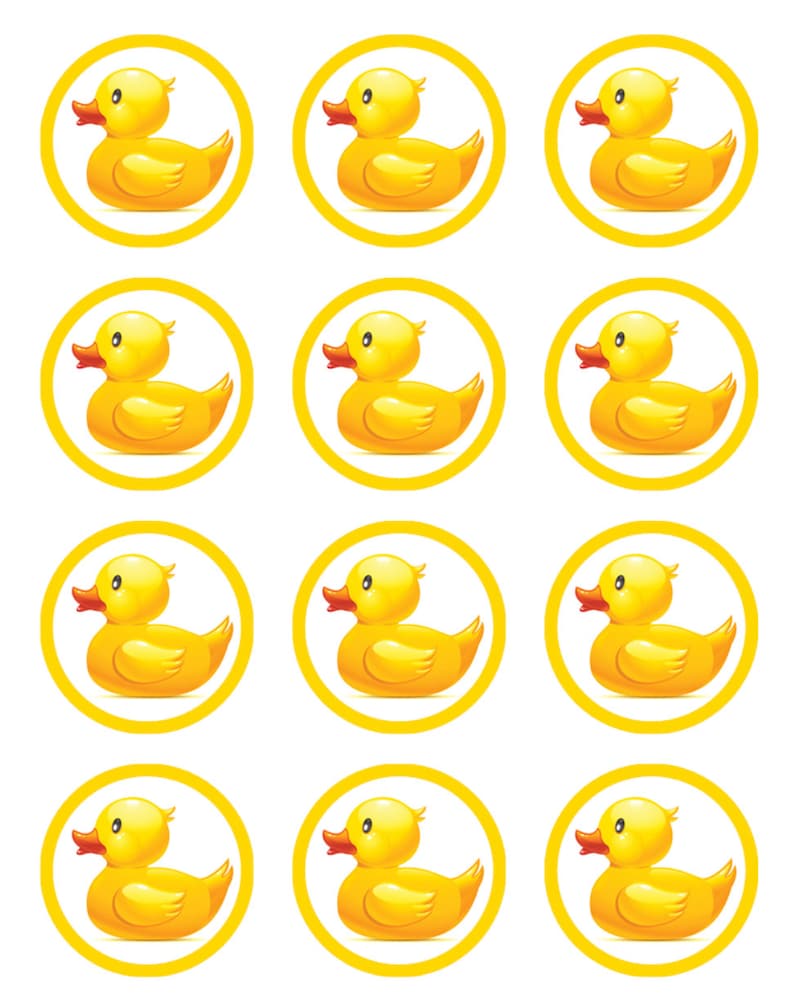 Duck Cupcake Toppers Edible Icing Farm Animal Birthday Cake Decorations ...
