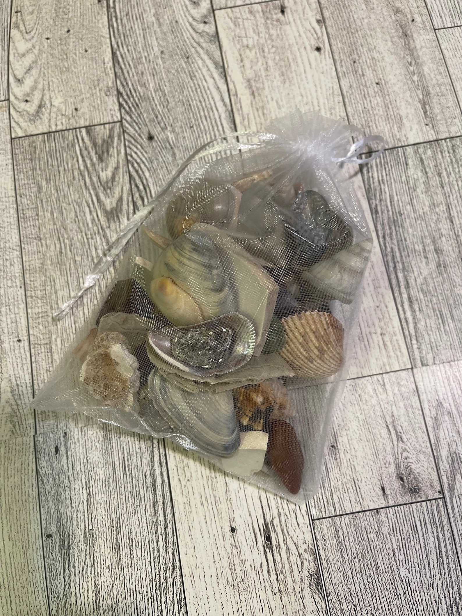 Texas Gulf Coast Beach Finds Mystery Box: Shells, Glass, Driftwood - Etsy