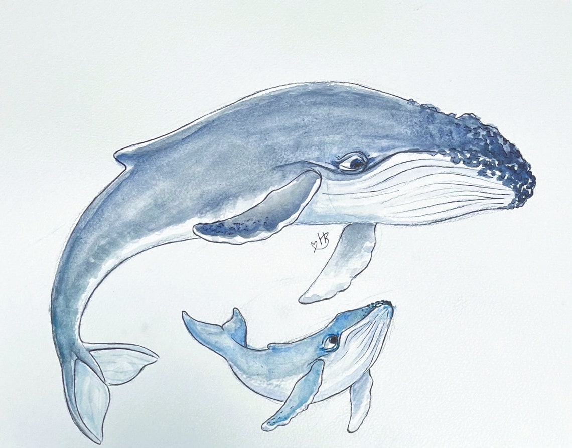 Humpback, Downloadable, Baby Whale, Mom and Baby, Watercolor, Blue ...