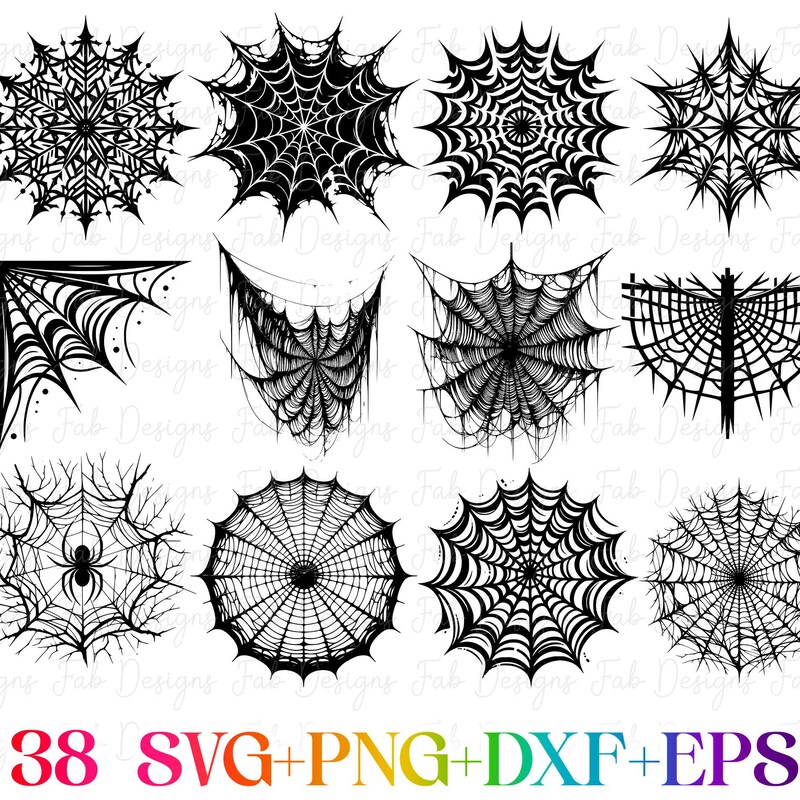 Spider Web Svg - Etsy