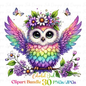 30 Owl Clipart Bundle, Sparkling Owl Sublimation Clipart, Colorful Owls ...