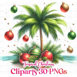Tropical Christmas Clipart: Palm Tree Designs (digital Download PNG ...
