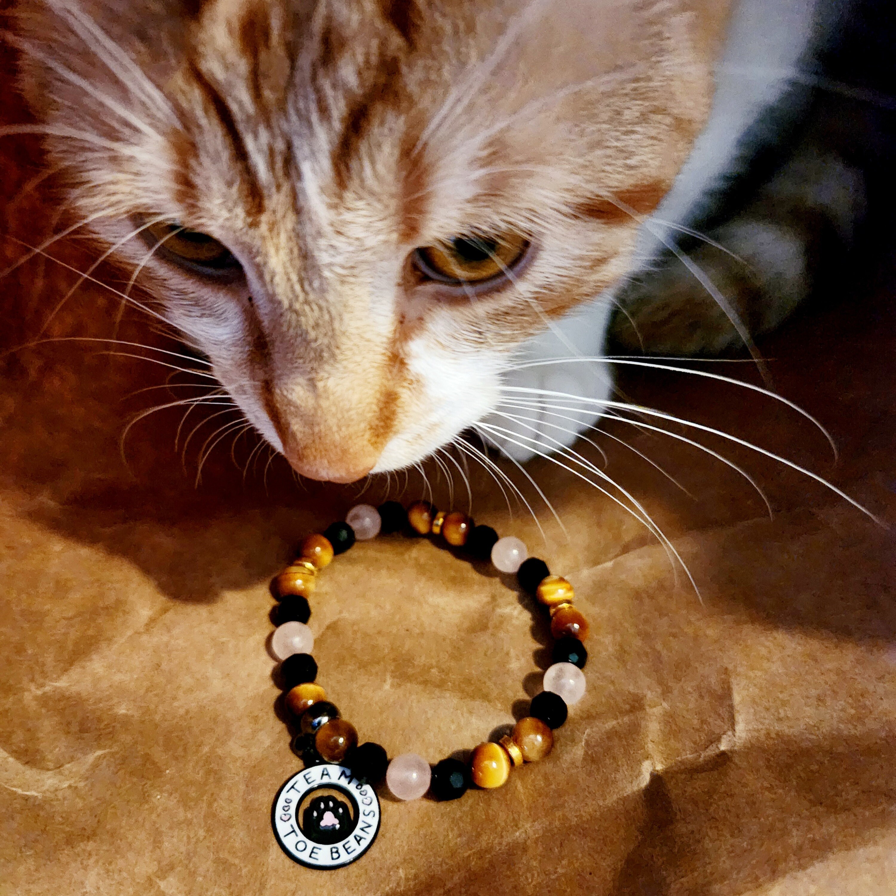 Team Toe Beans Bracelet - Etsy