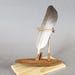 Windsurfer - Etsy
