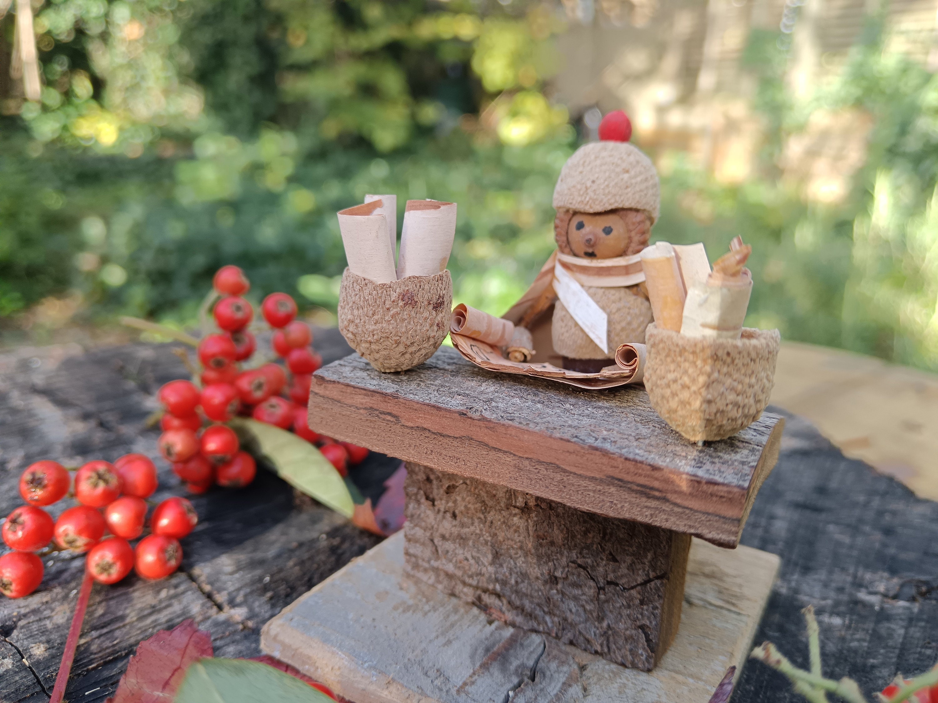 Acorn Elf is so Busy Working With All These Papers and Facing Deadlines ...