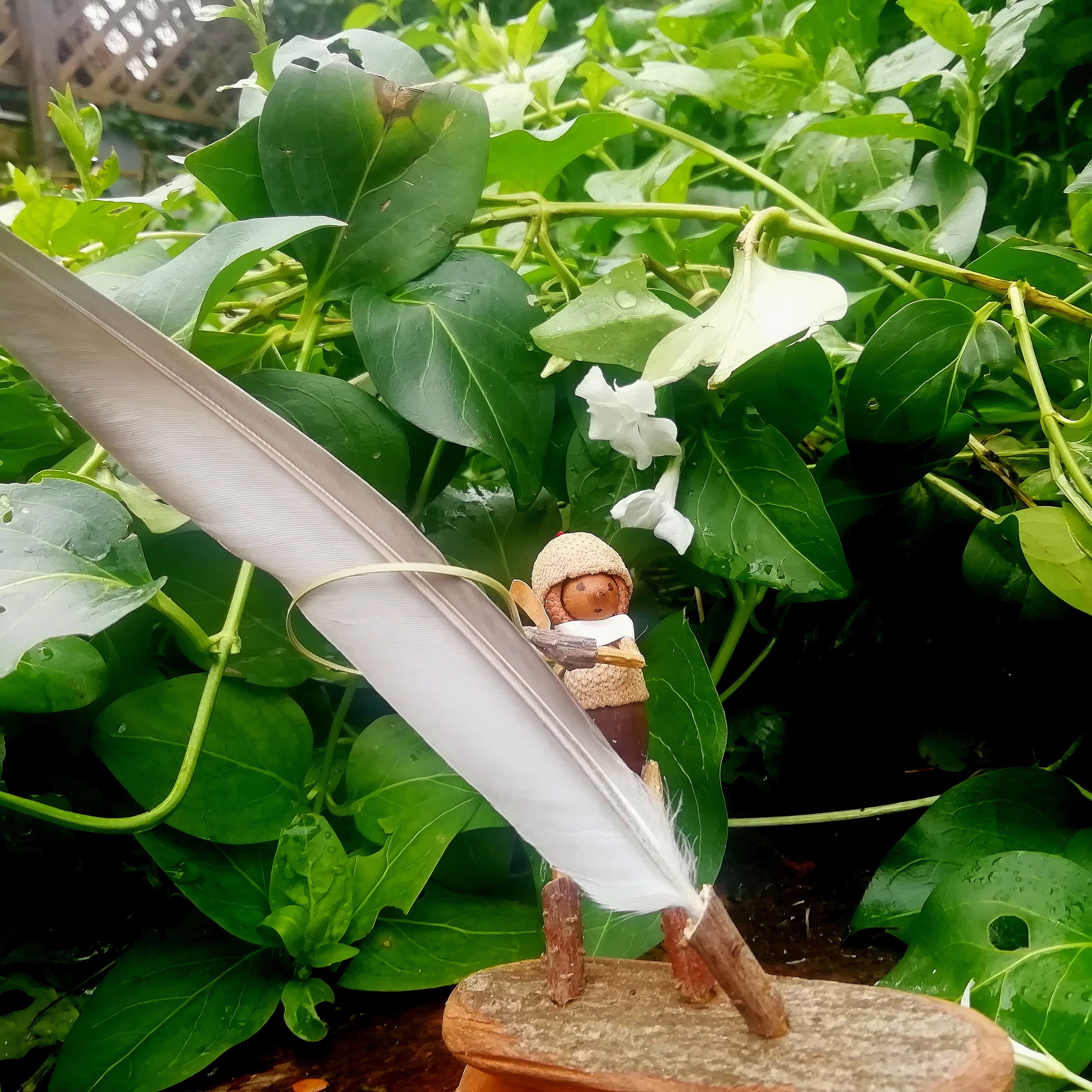 Windsurfer - Etsy