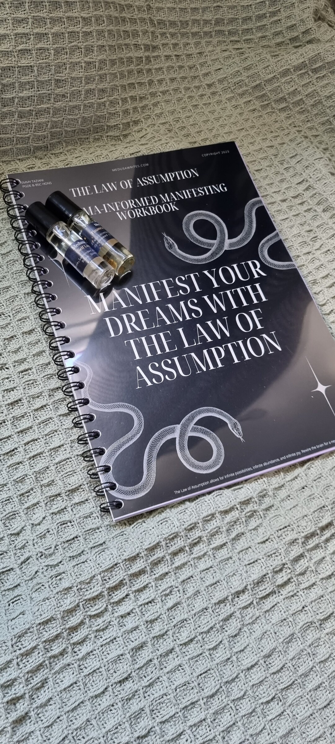 PDF Digital Copy of Trauma-informed Manifesting Workbook (law of ...
