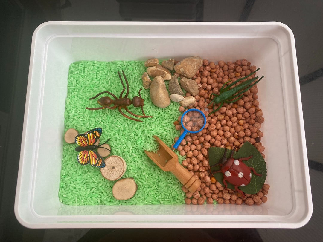 Bug Sensory Kit Tuff Tray Play Insects Sensory Bin Loose - Etsy