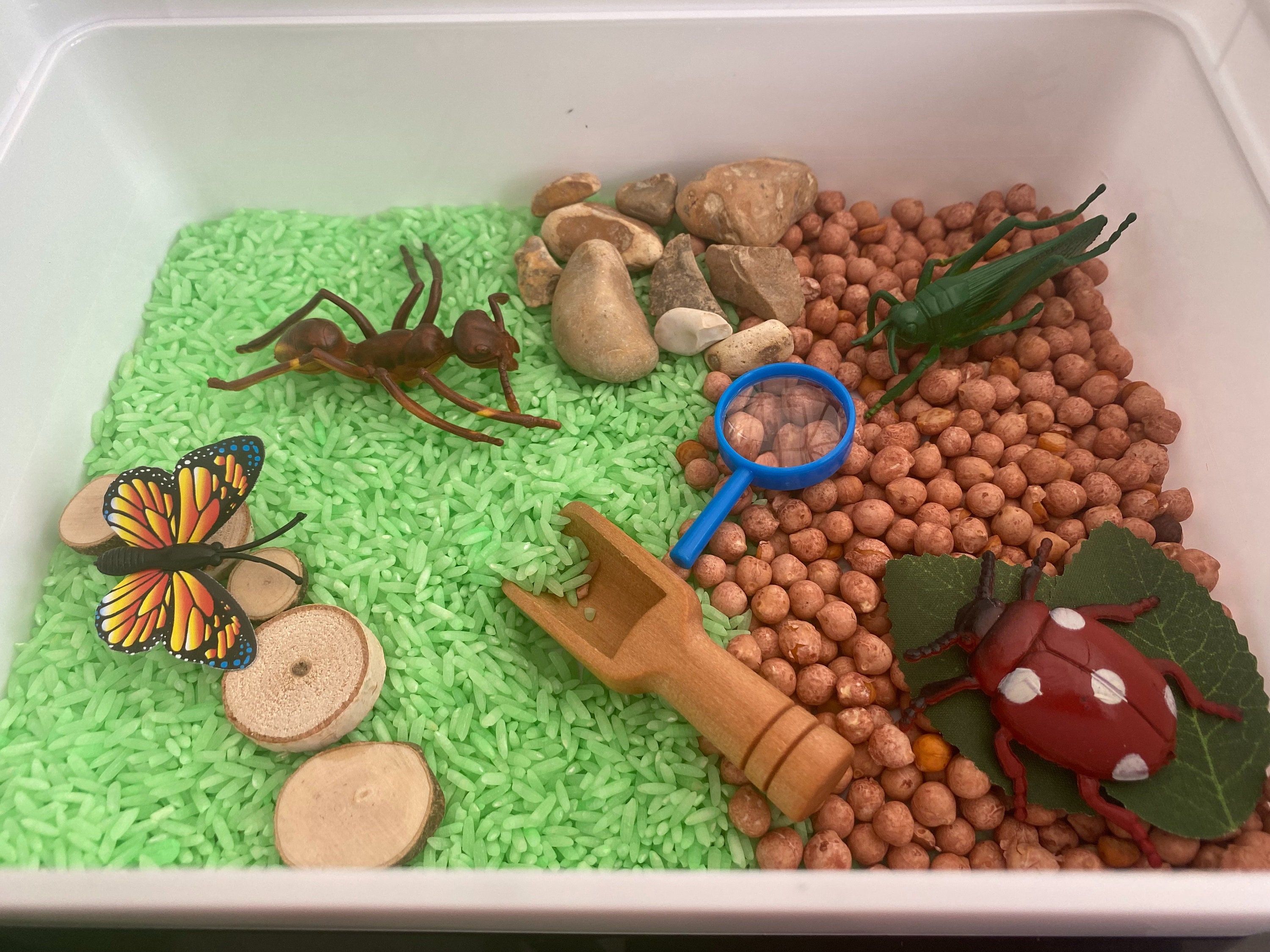 Bug Sensory Kit Tuff Tray Play Insects Sensory Bin Loose - Etsy