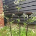 Trio of Hand Forged Metal Water Catchers - Etsy UK