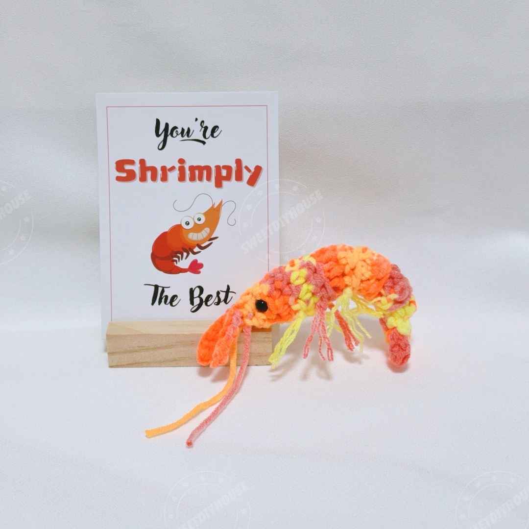 Emotional Support Shrimps With Positive Affirmation, Handmade Crochet ...